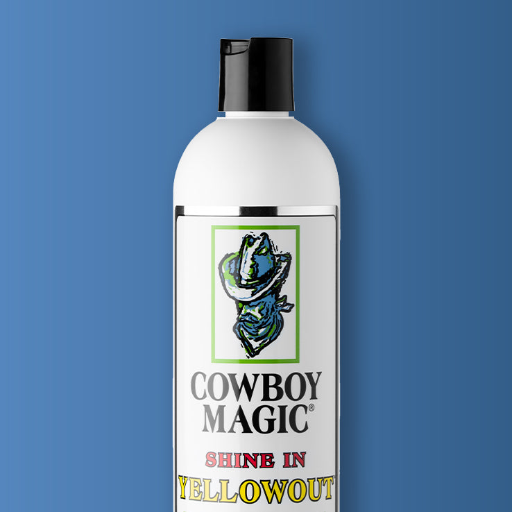 Shine In Yellowout Shampoo - Brightens Hair of All Colors – Cowboy Magic