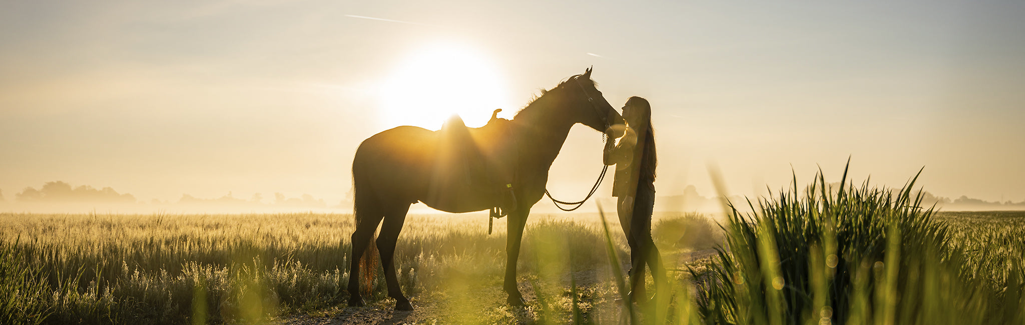 About – Cowboy Magic