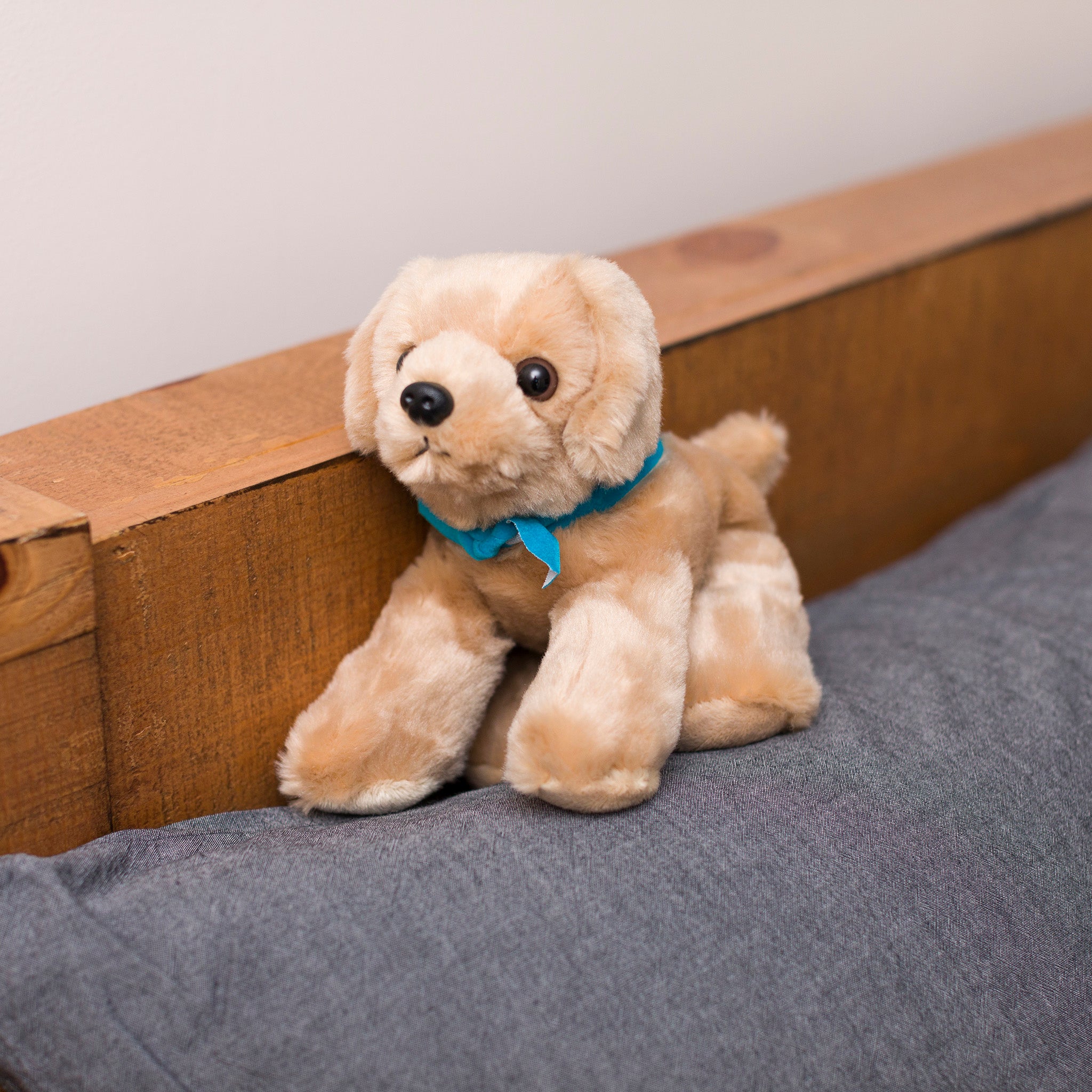 Golden Lab – Cowboy Magic